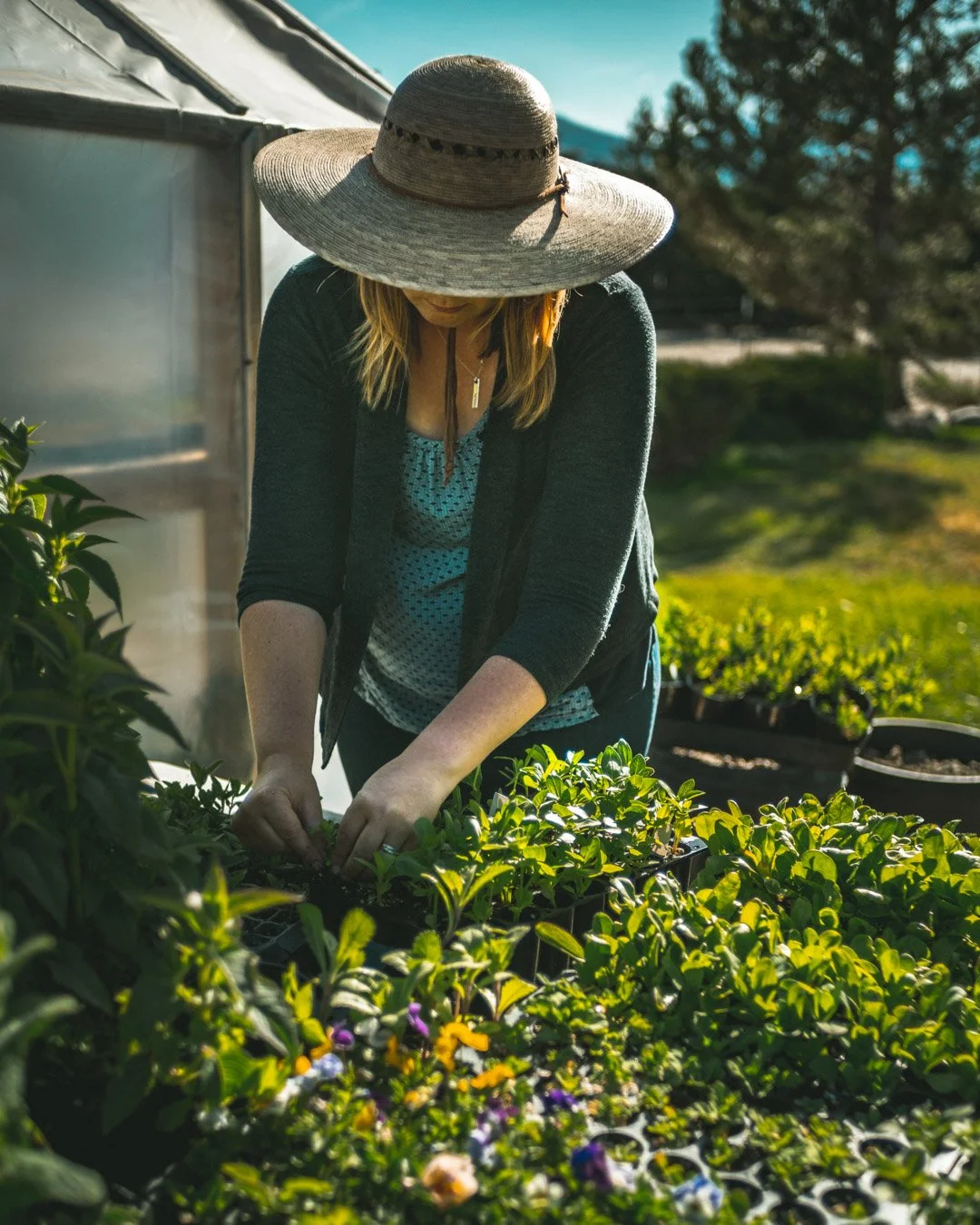 Goal Setting for the Flower Farmer — Sierra Flower Farm
