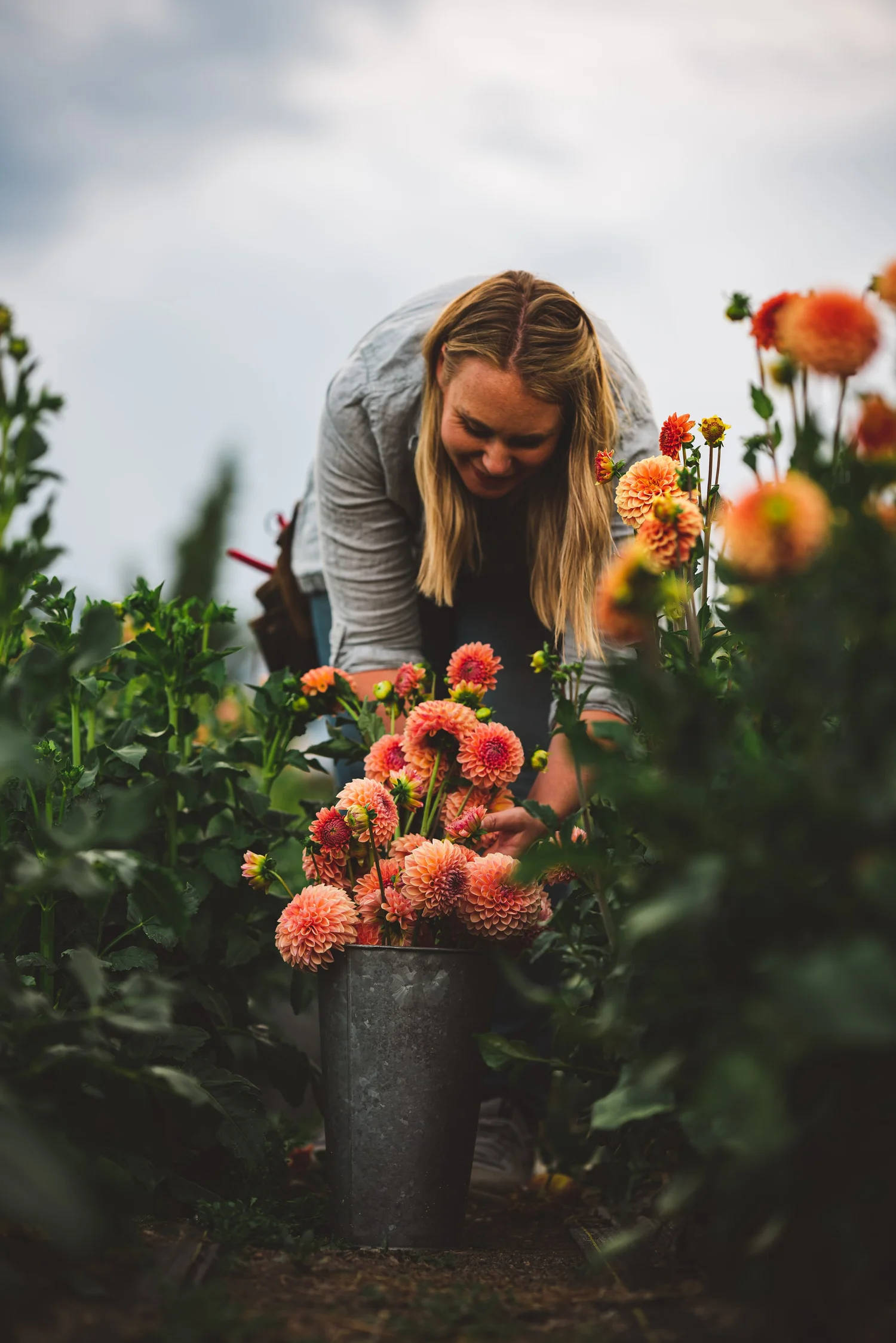 Flower Farming: Pushing the boundaries with shoulder seasons — Sierra ...