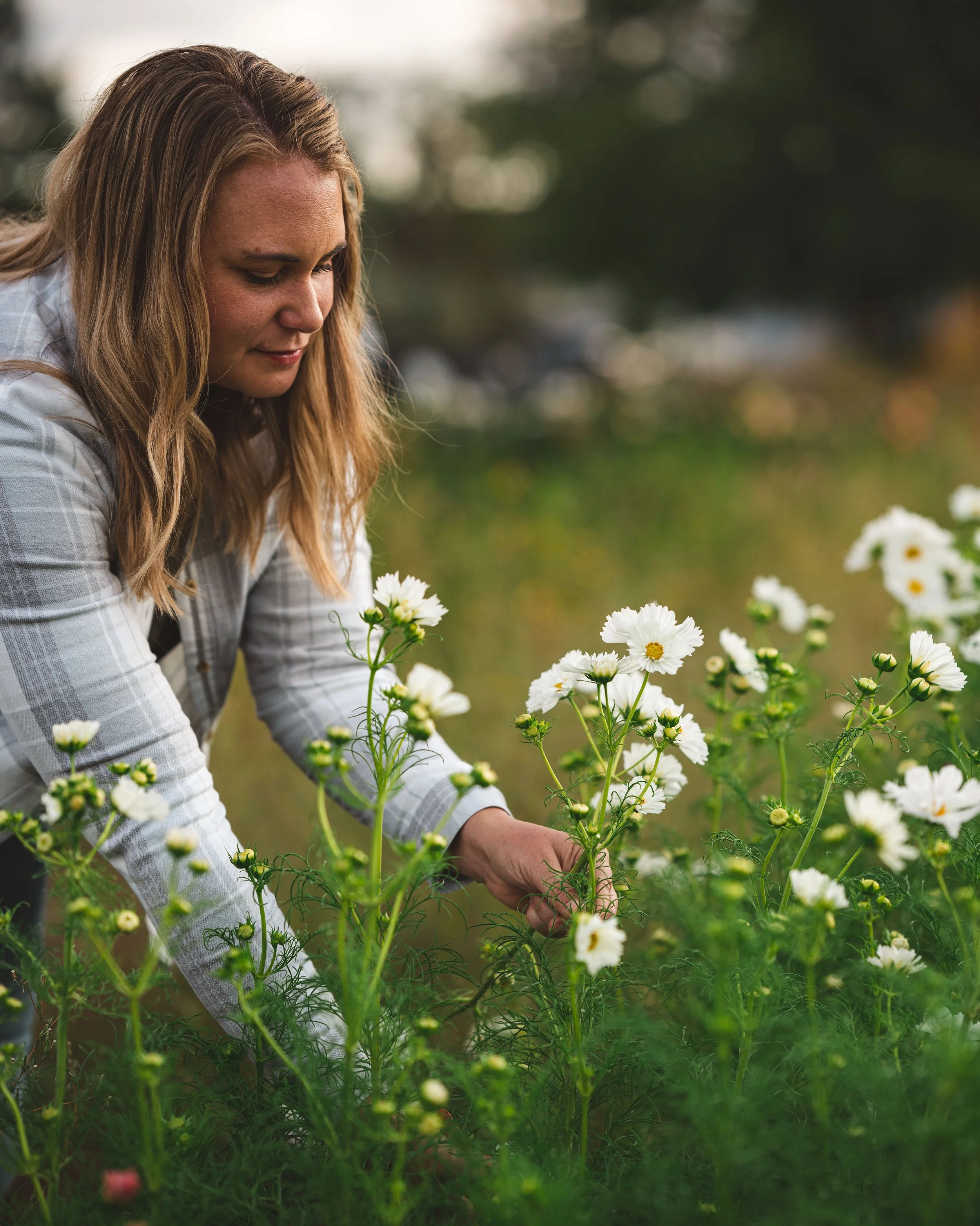 Flower Farming as a Side Hustle — Sierra Flower Farm