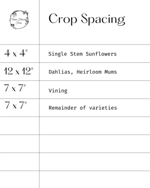 Maximizing Production For a Small-Scale Flower Farm — Sierra Flower Farm