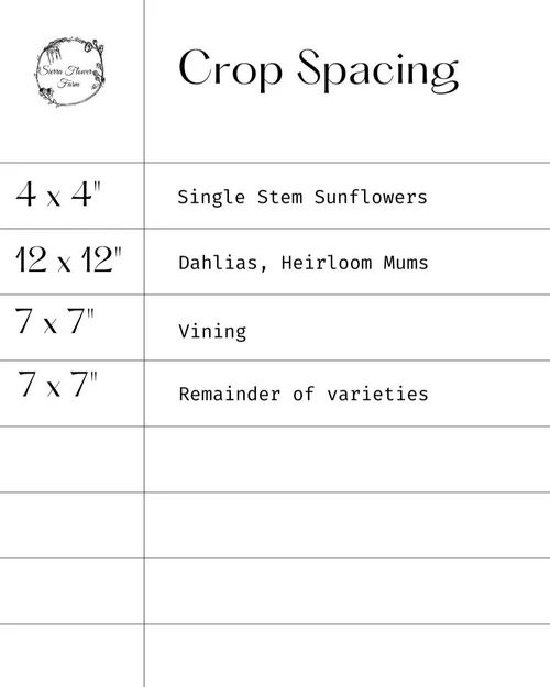 Maximizing Production For a Small-Scale Flower Farm — Sierra Flower Farm