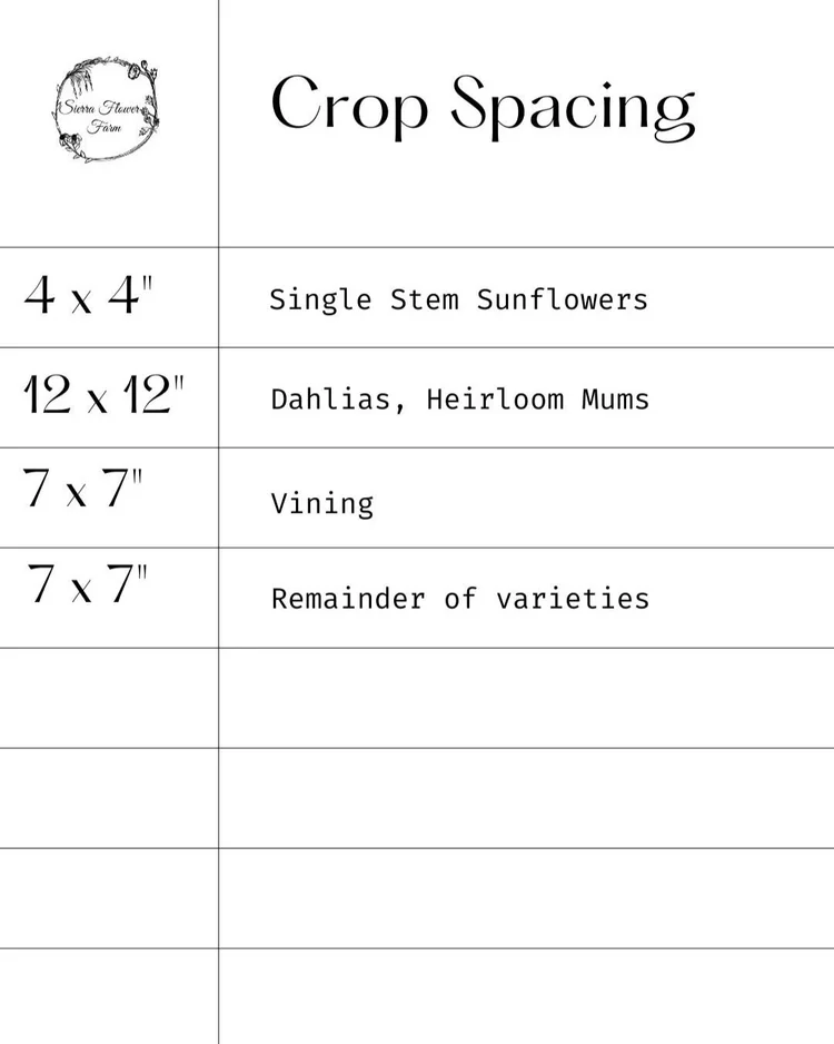 Maximizing Production For a Small-Scale Flower Farm — Sierra Flower Farm