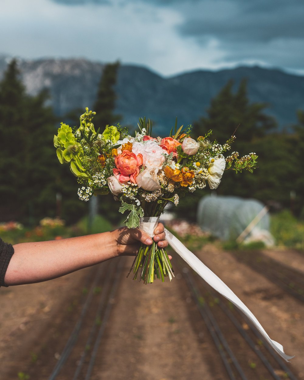Sierra Flower Farm