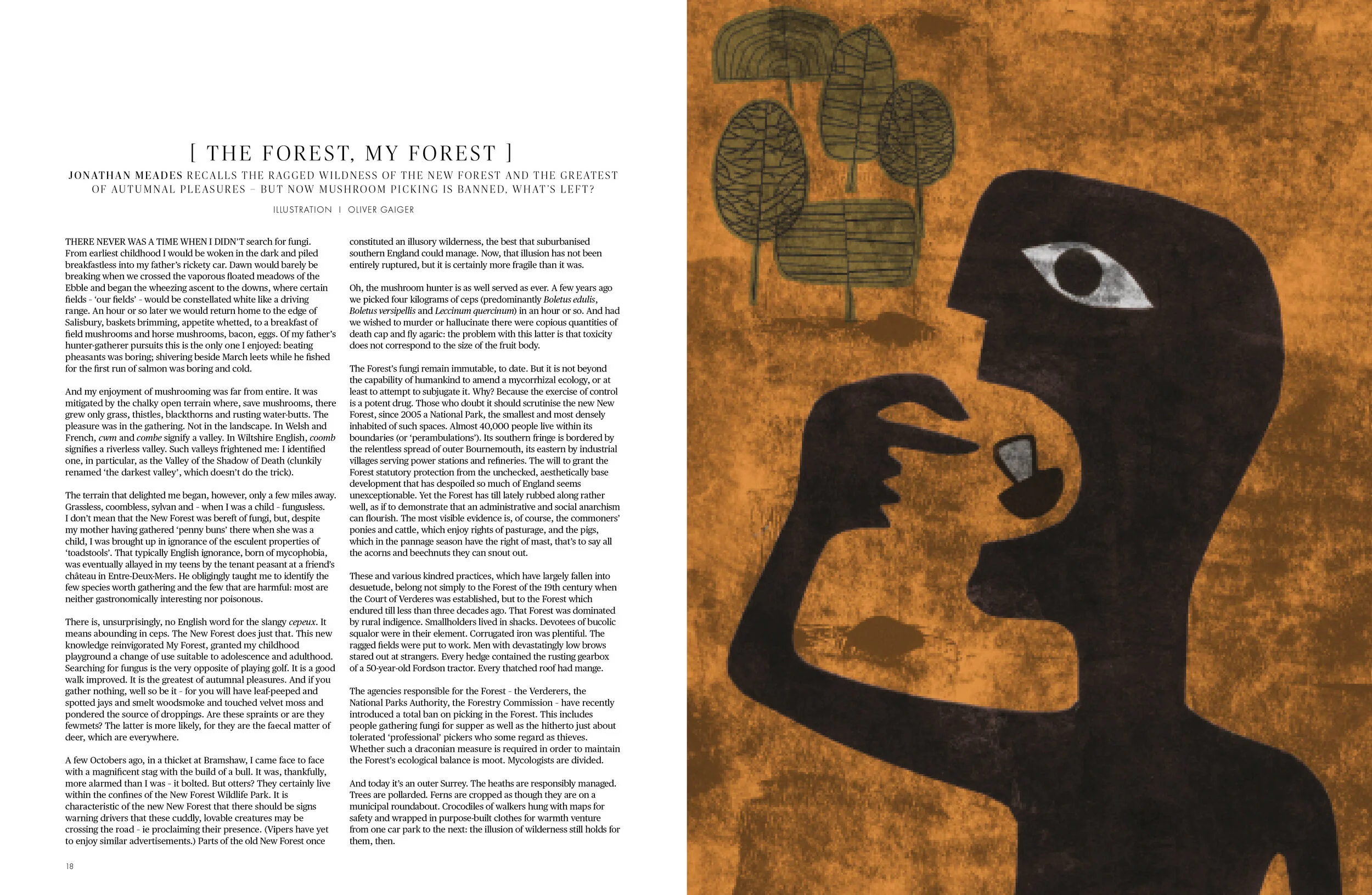 ISSUE 2 — rakesprogress