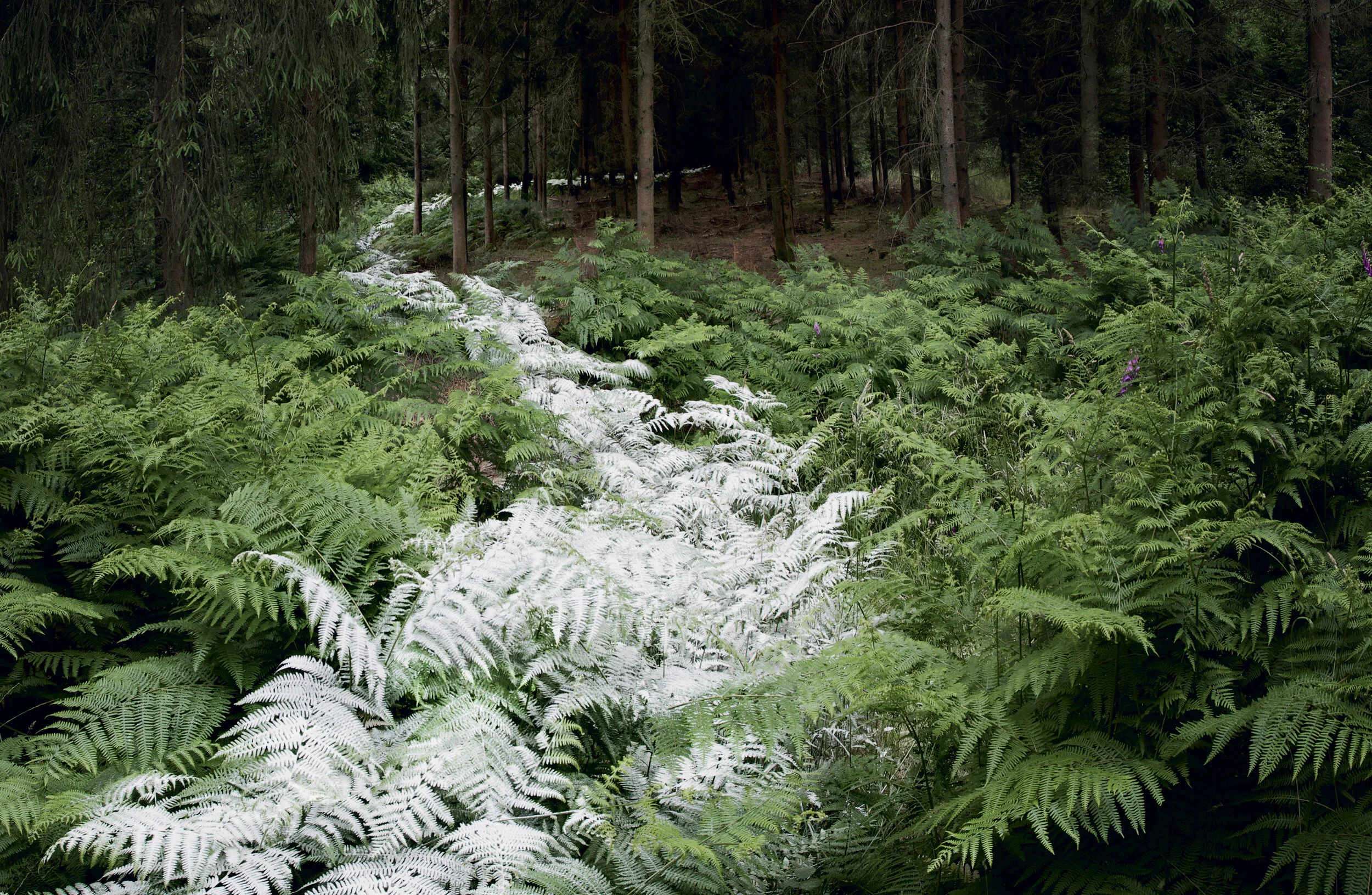 ISSUE 9 — rakesprogress