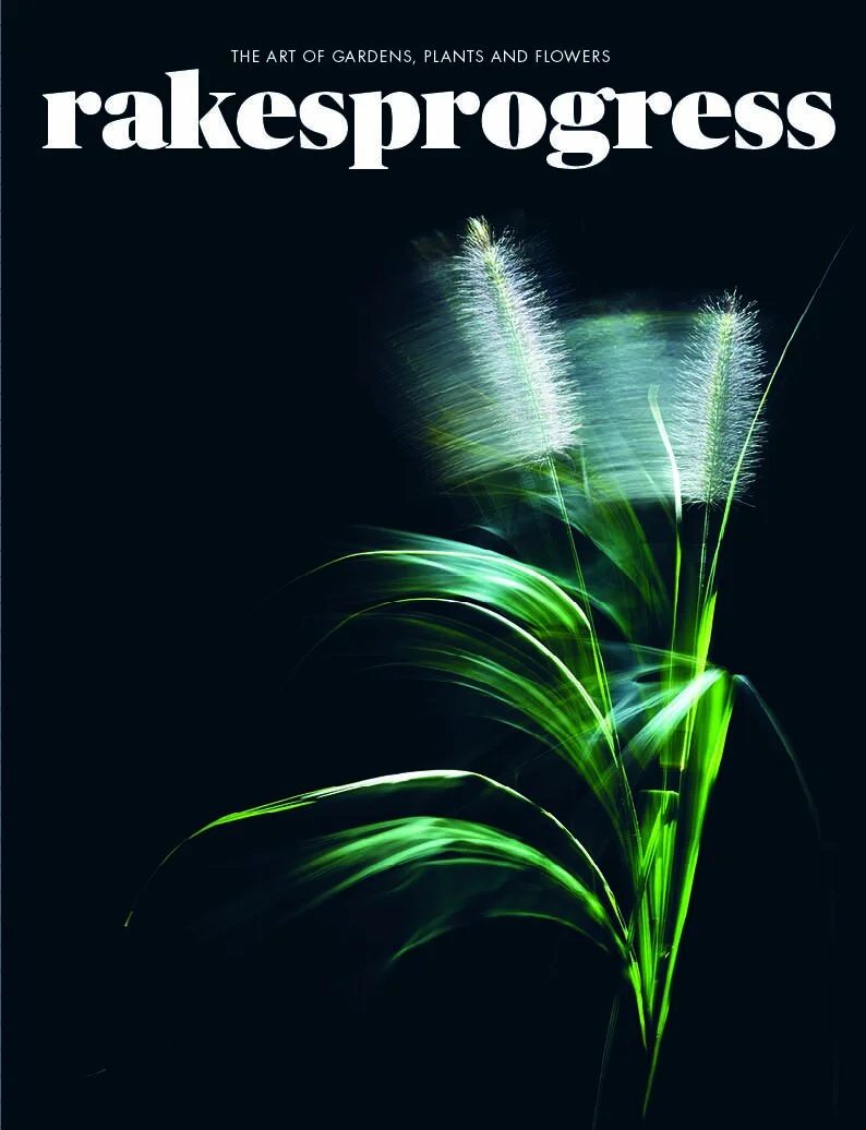 BUY ISSUES [or subscribe] — rakesprogress