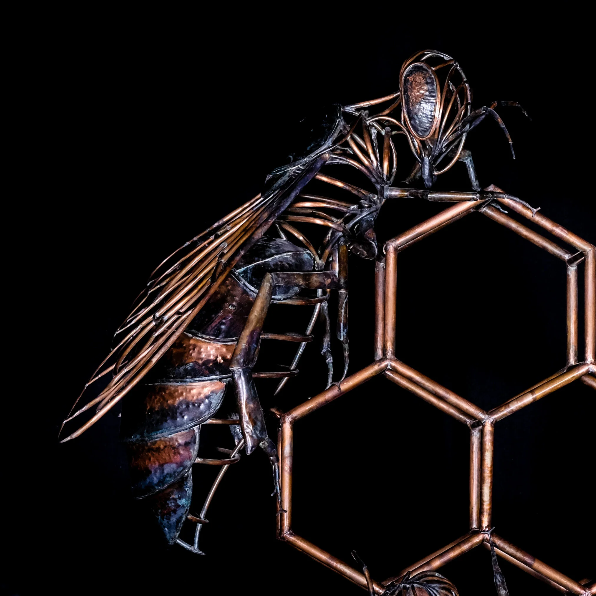 Giant Bees — Brendon Murless