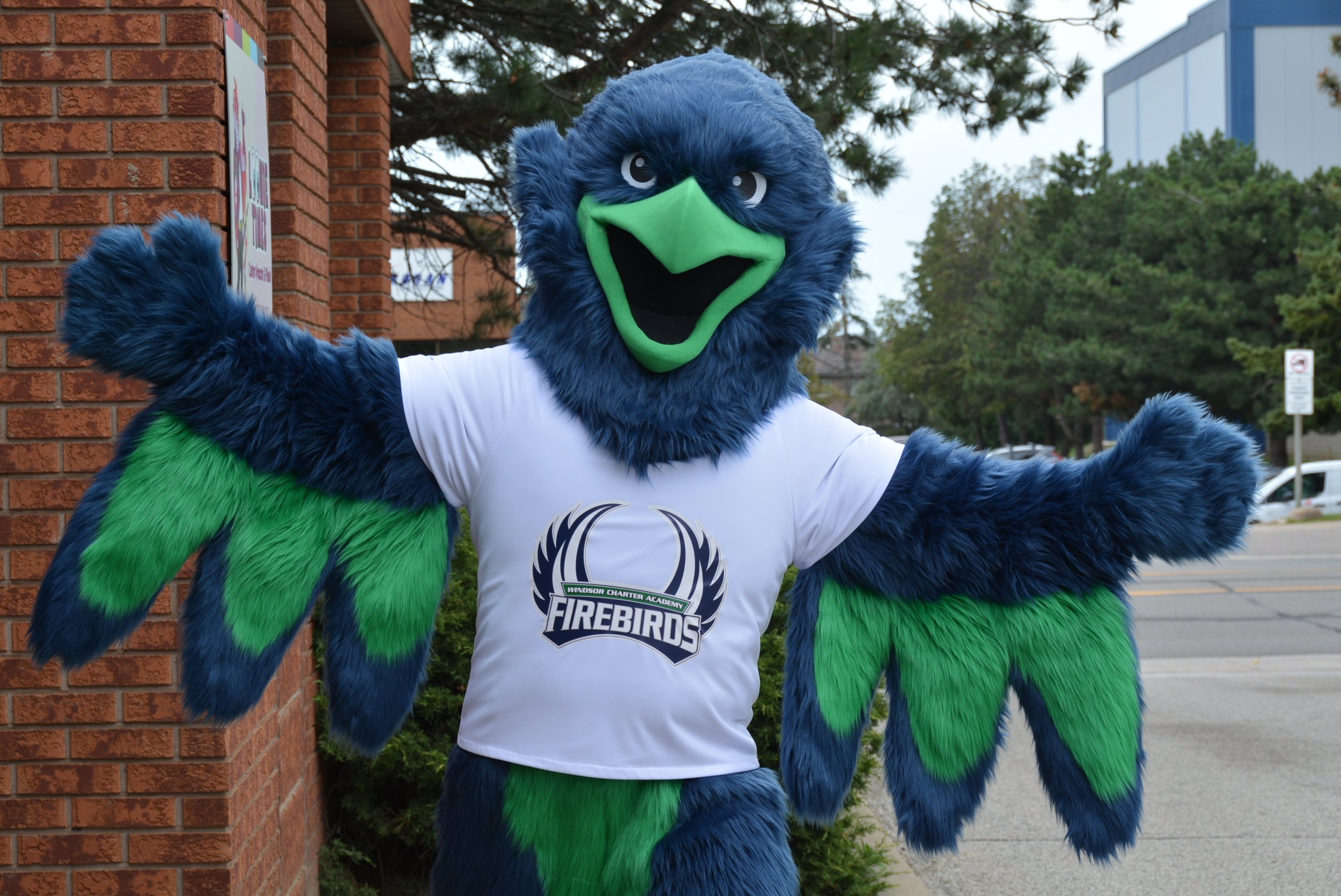Help Us Name our New Mascot! — Windsor Charter Academy