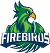 Introducing the Bold New Face of the Firebirds — Windsor Charter Academy