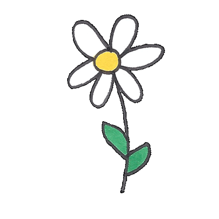 Wilting Flower Gif Transparent