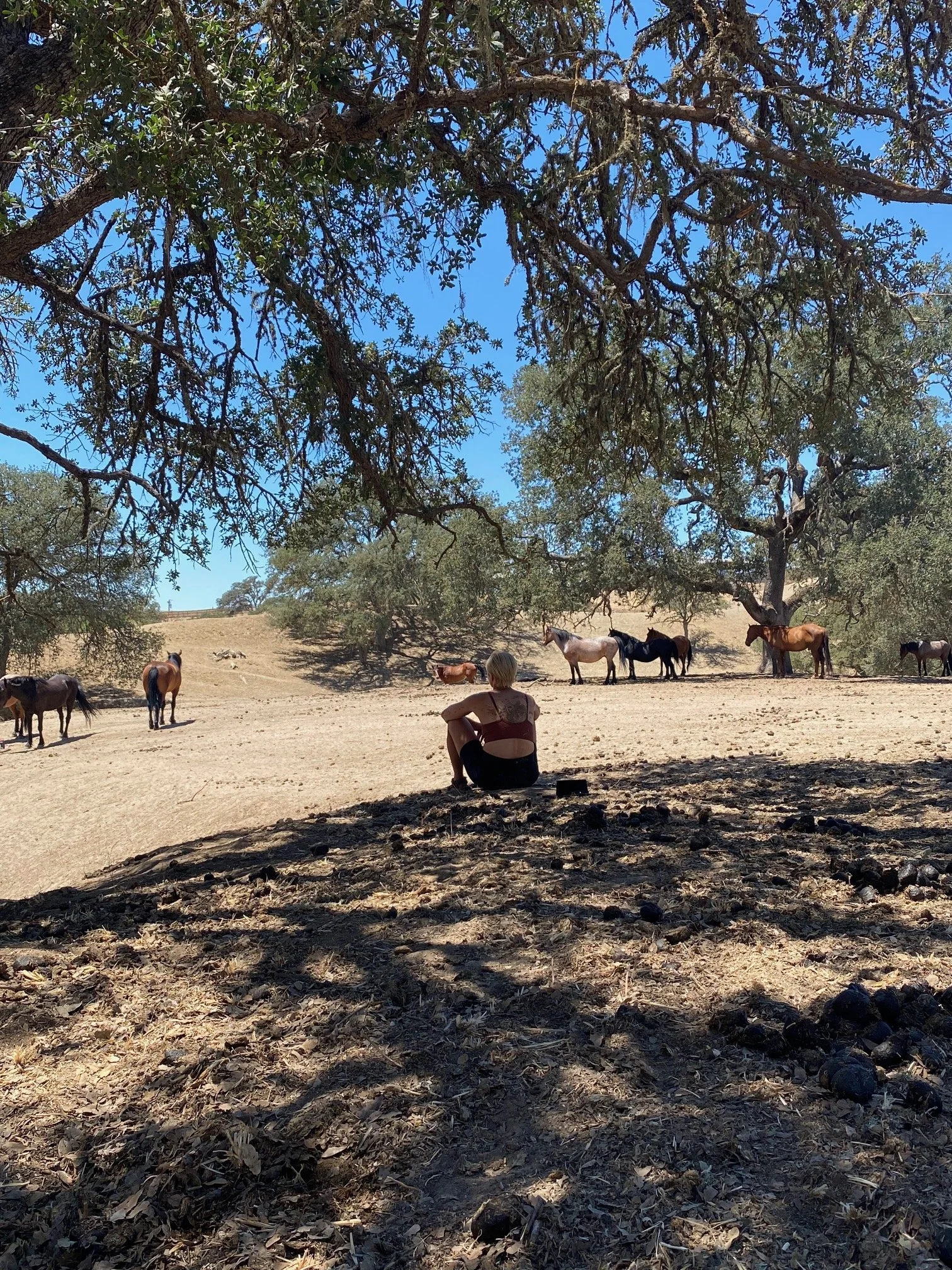 Ways to Give — Flag Ranch