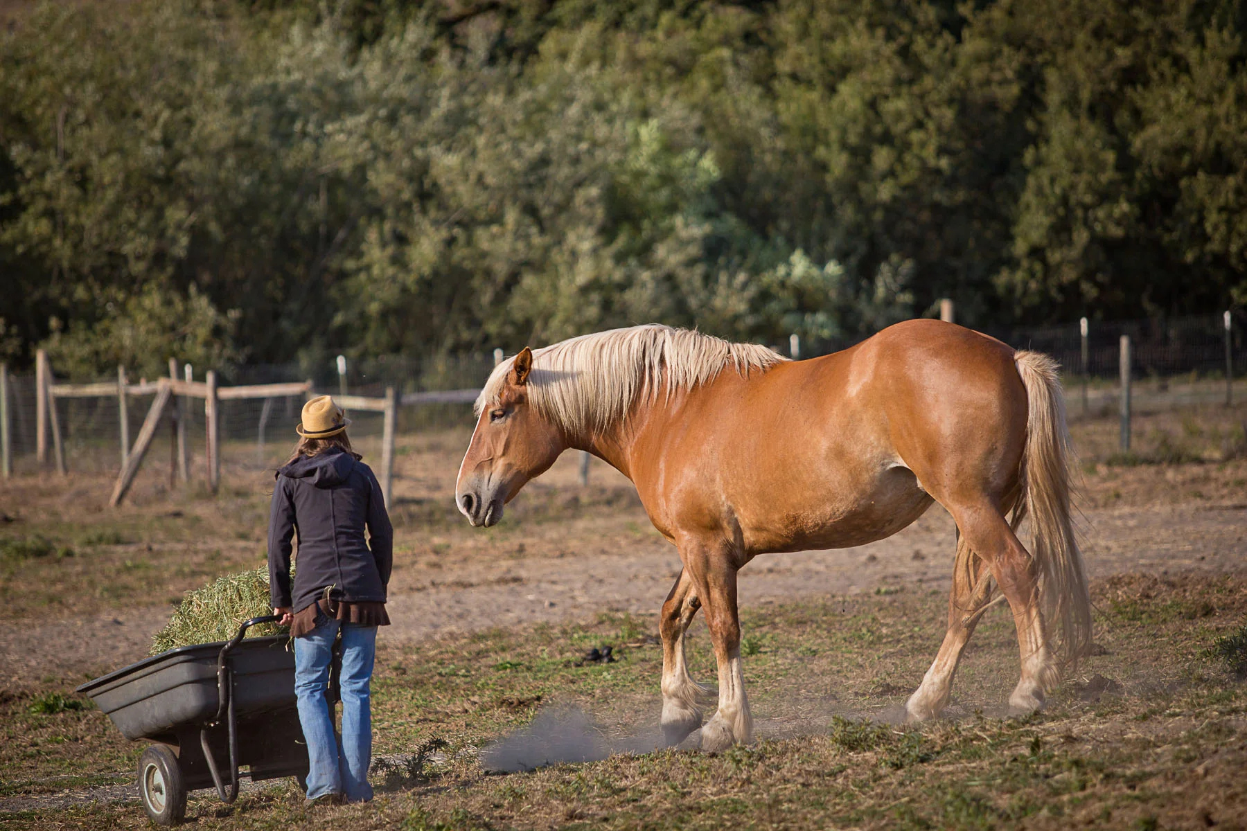 Experiences — Flag Ranch