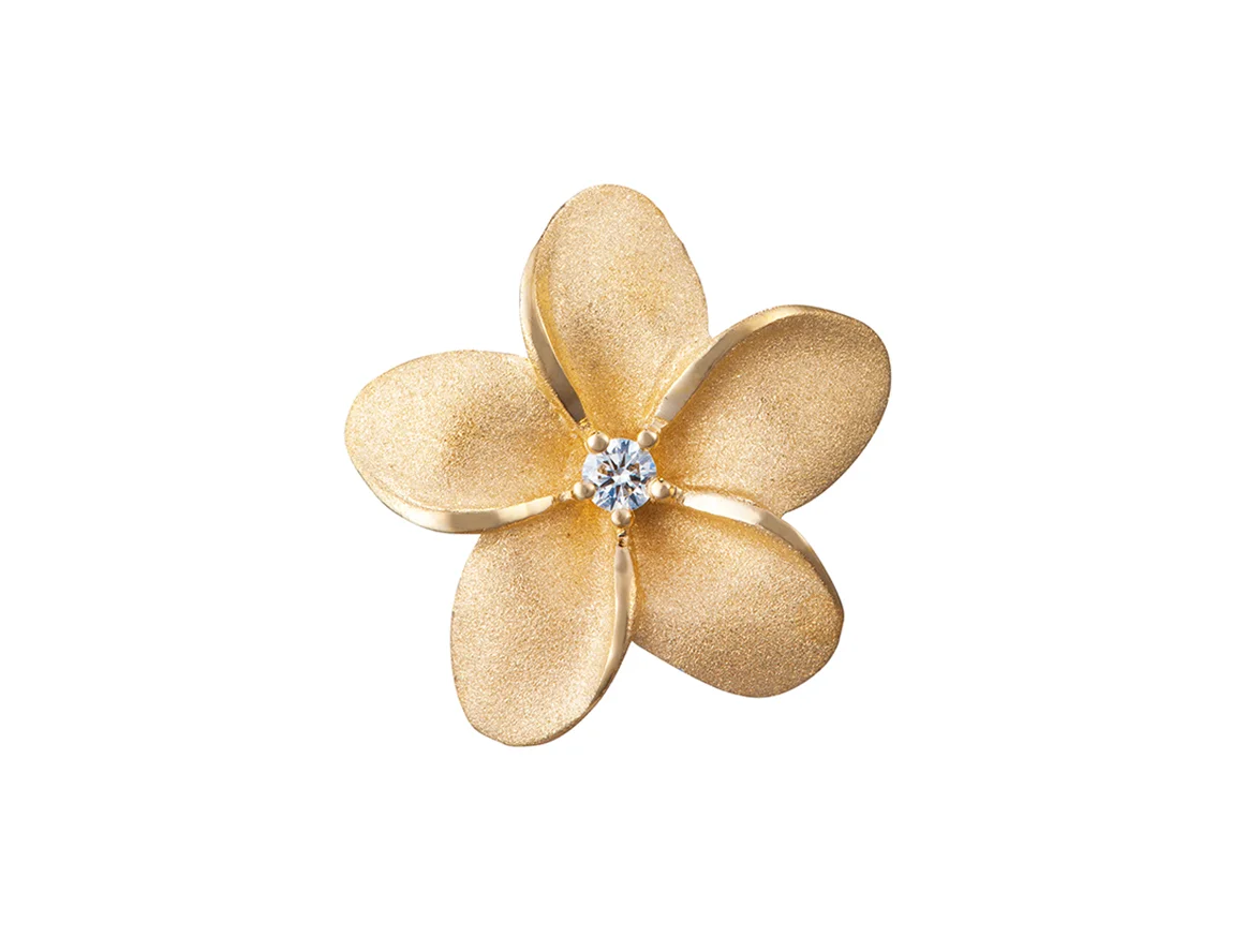 Beach Collection — Denny Wong Designs - Official Website