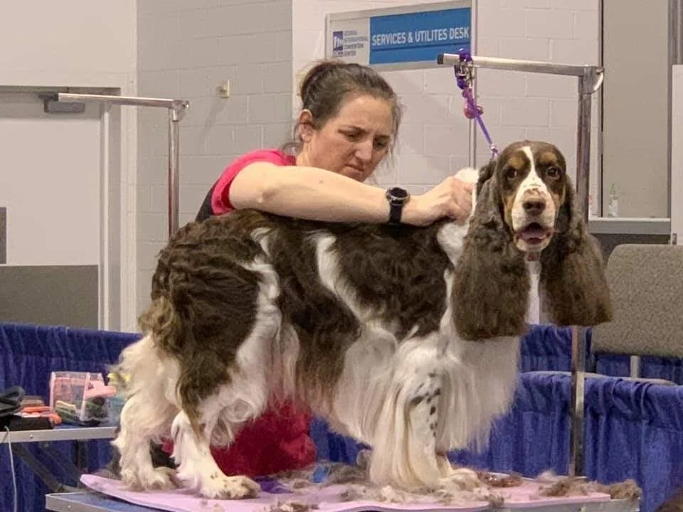 Grooming — Southern Animal Hospital