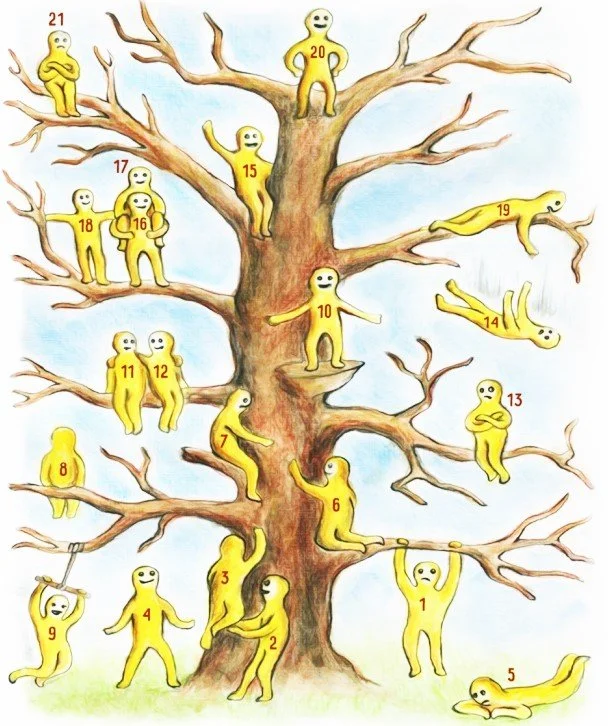 The Blob Tree — Life Solved Coaching