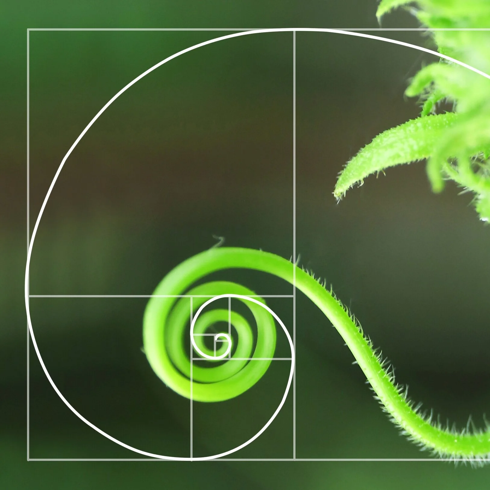 DR. KAT LOPEZ SANKEY - Offering Integrative Medicine in PORTLAND, OR