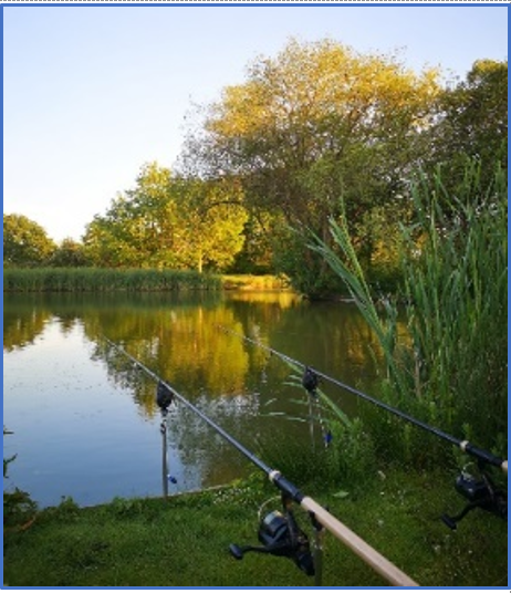 NEWS 1 September 2018 to 30 September 2018 — Manor Fisheries : Fishing ...