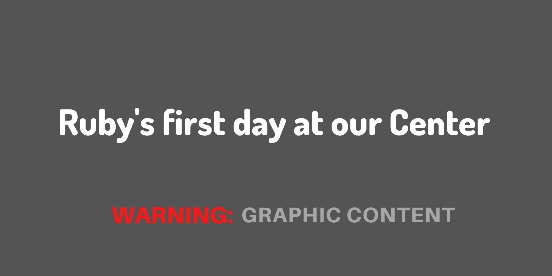 Meet Ruby, our special kitten — Animal Zone International