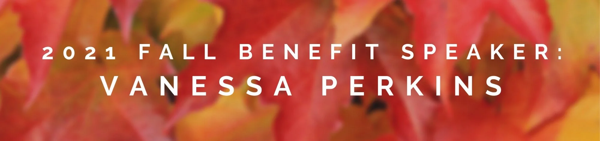 Vanessa Perkins Bio — Good Samaritan Advocates