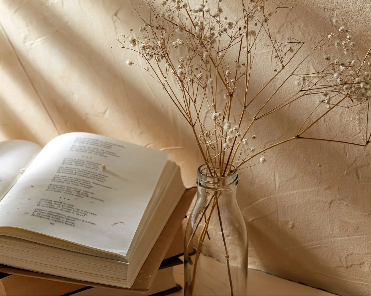 Contemporary Female Writers for Advanced French — La Classe
