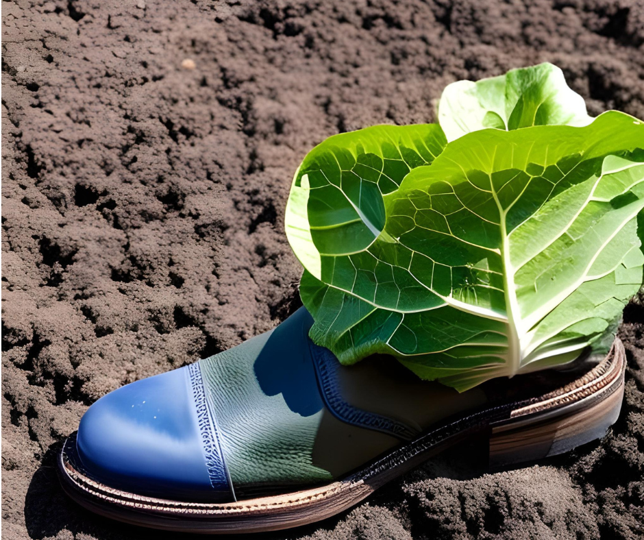 Mastering French Vocabulary Retention — La Classe