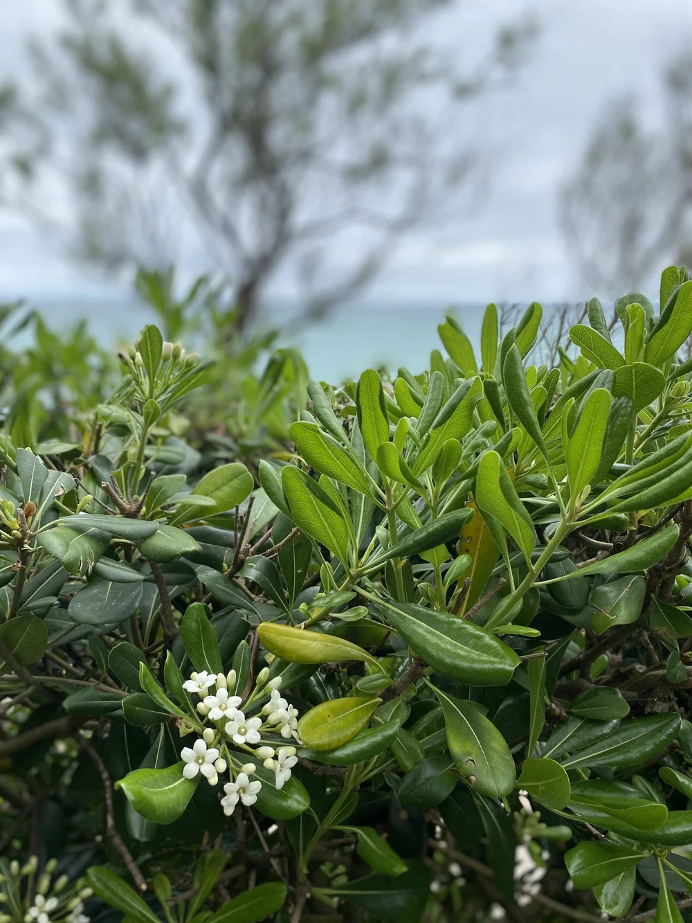 Discovering the Basque coastal path — La Classe