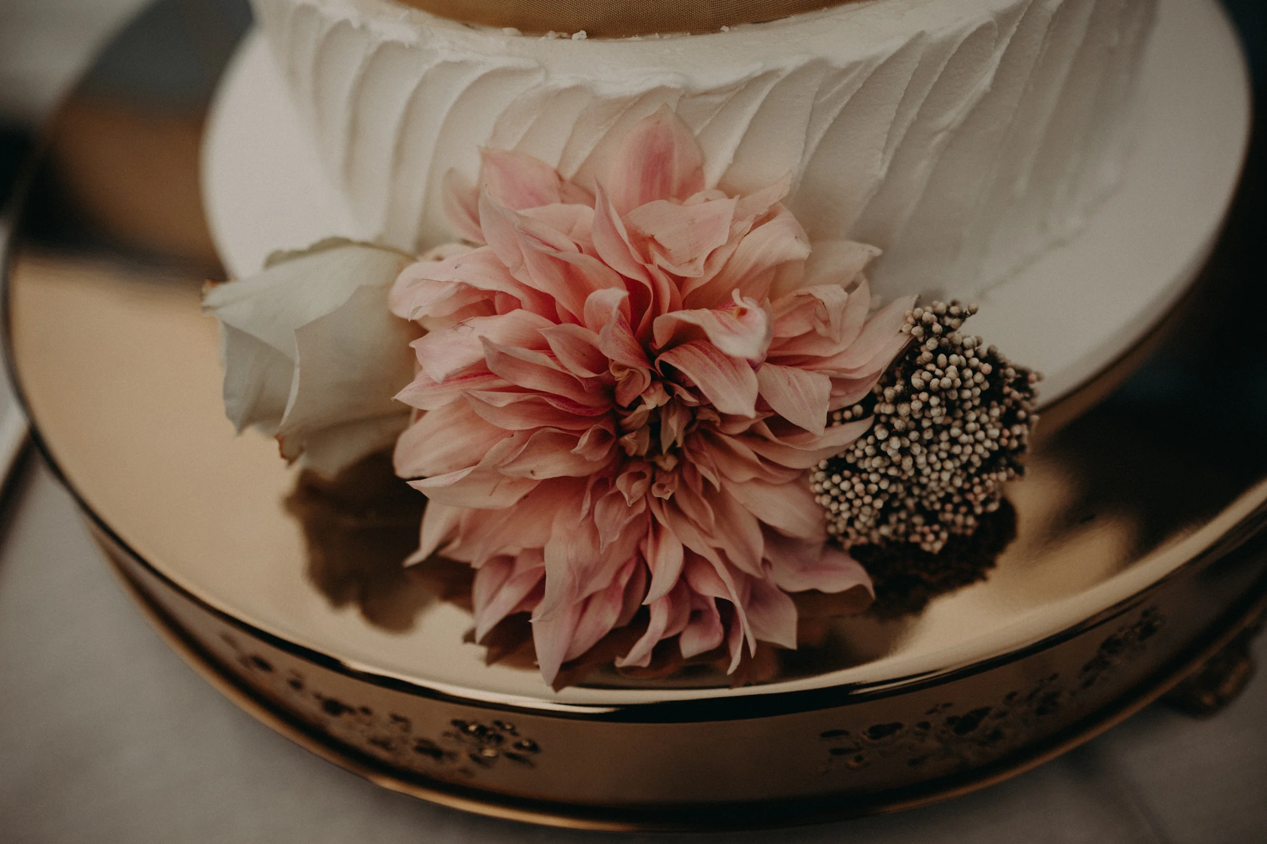 Alyson + Ray (Wedding) — Dan Cox Photography