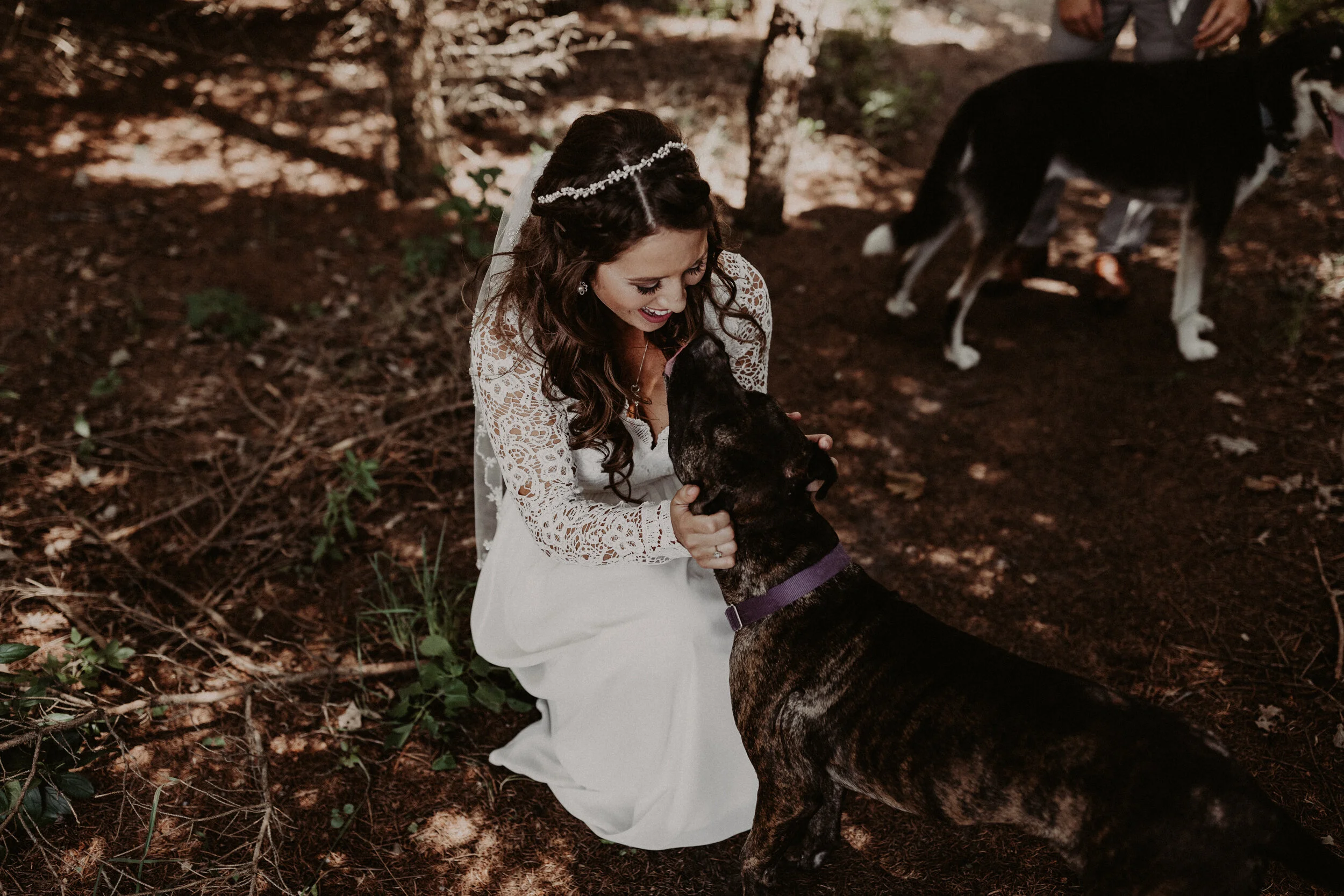 Artistic Dreamy Backyard Wedding in Michigan — Dan Cox Photography
