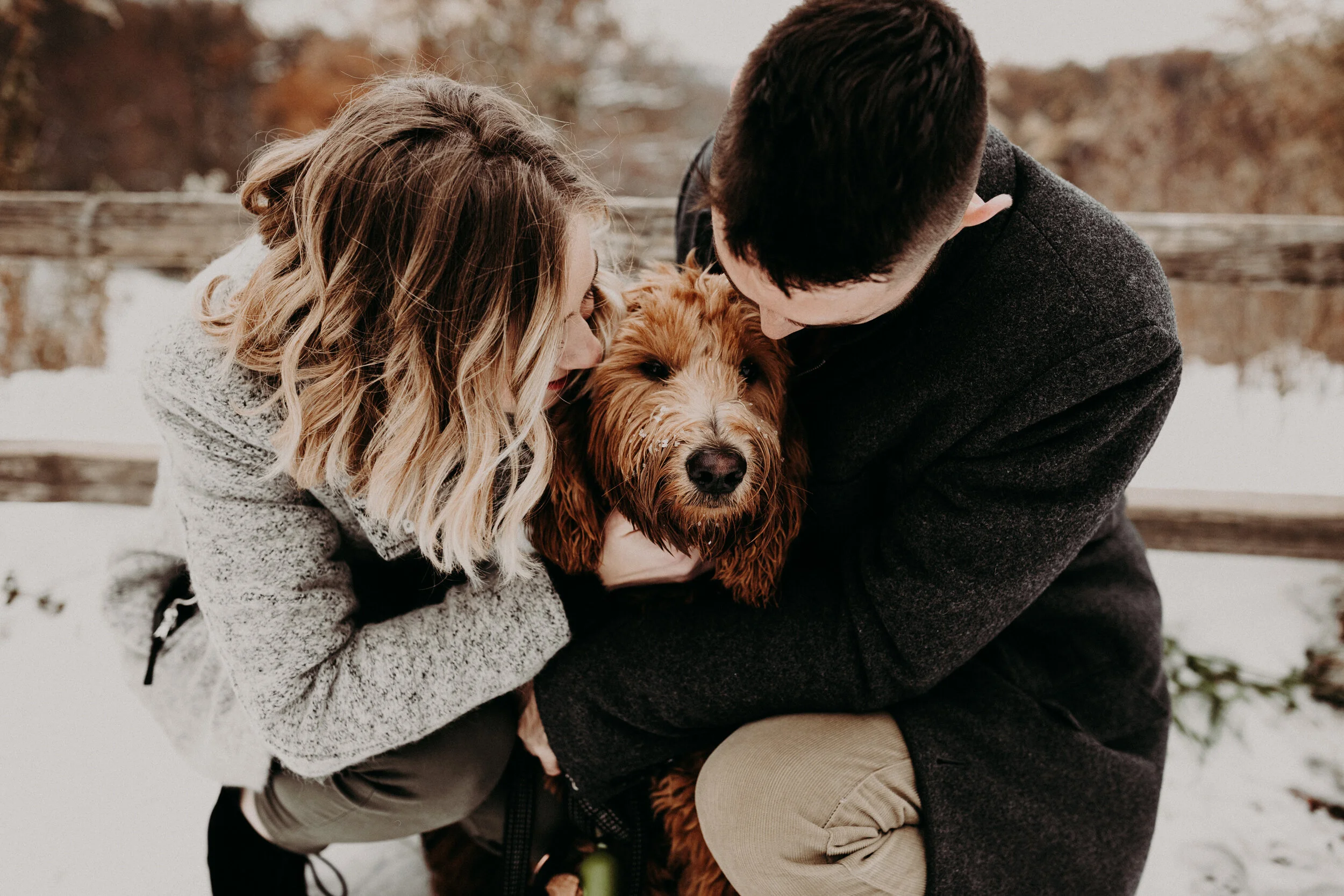 Moody Ann Arbor Engagement Session at The Arb, Law Quad — Dan Cox ...