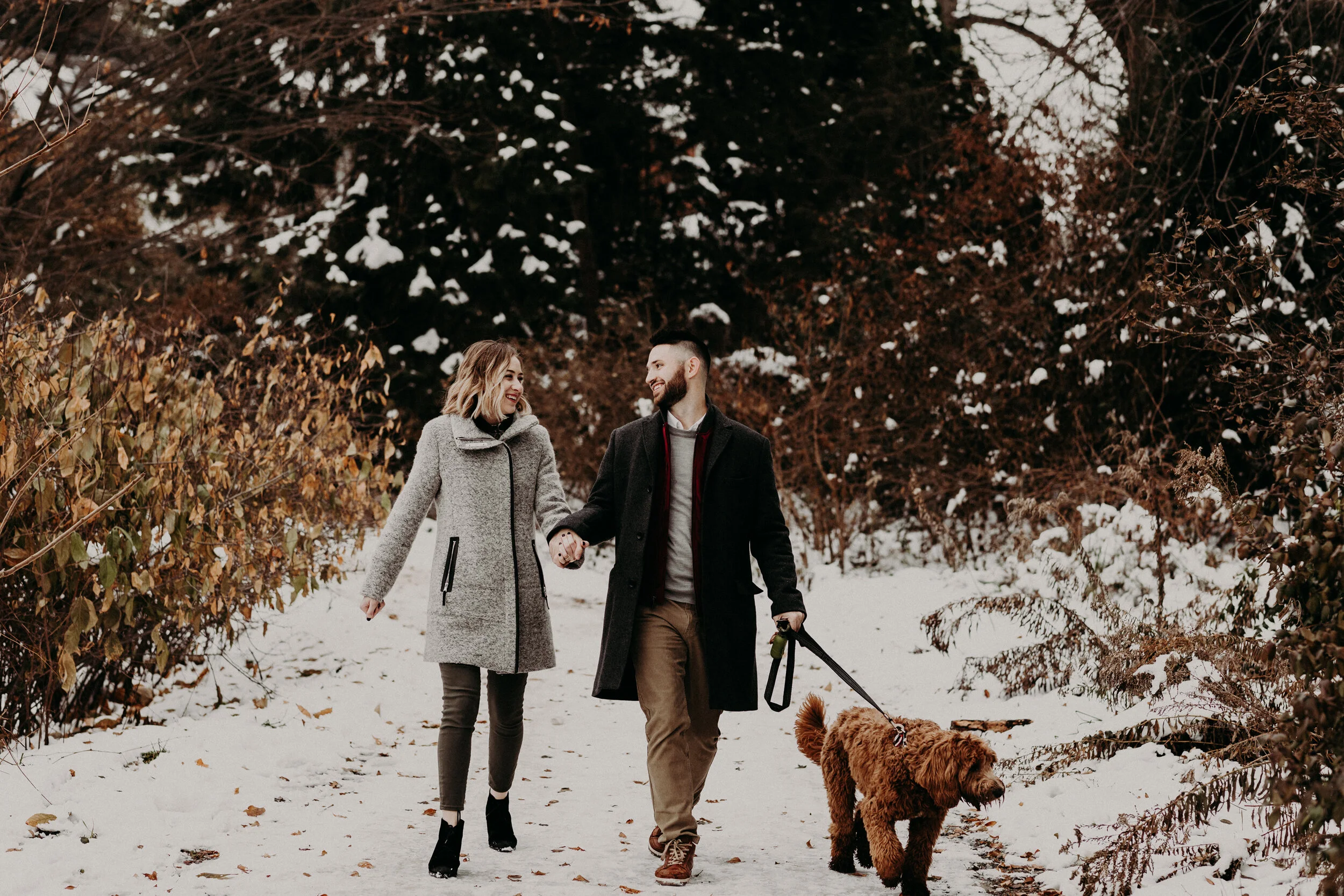 Moody Ann Arbor Engagement Session at The Arb, Law Quad — Dan Cox ...