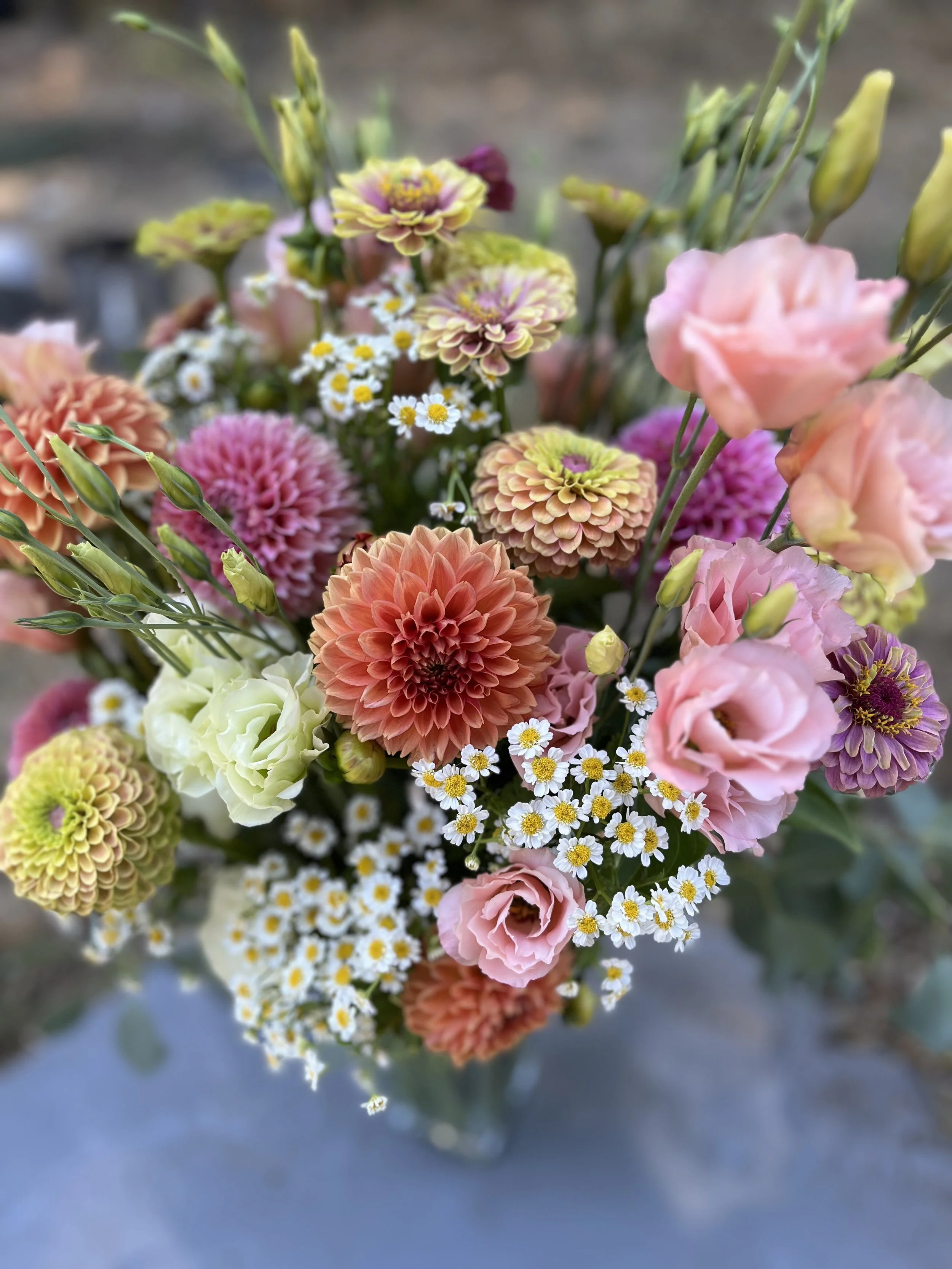 Pine Creek Flowers