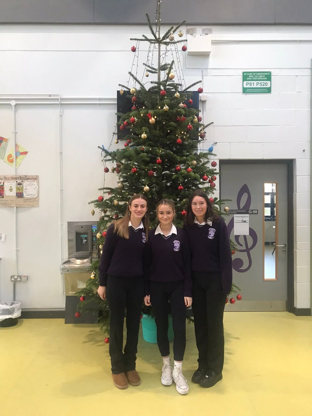 Christmas Spirit in Skibbereen Community School — Skibbereen Community ...