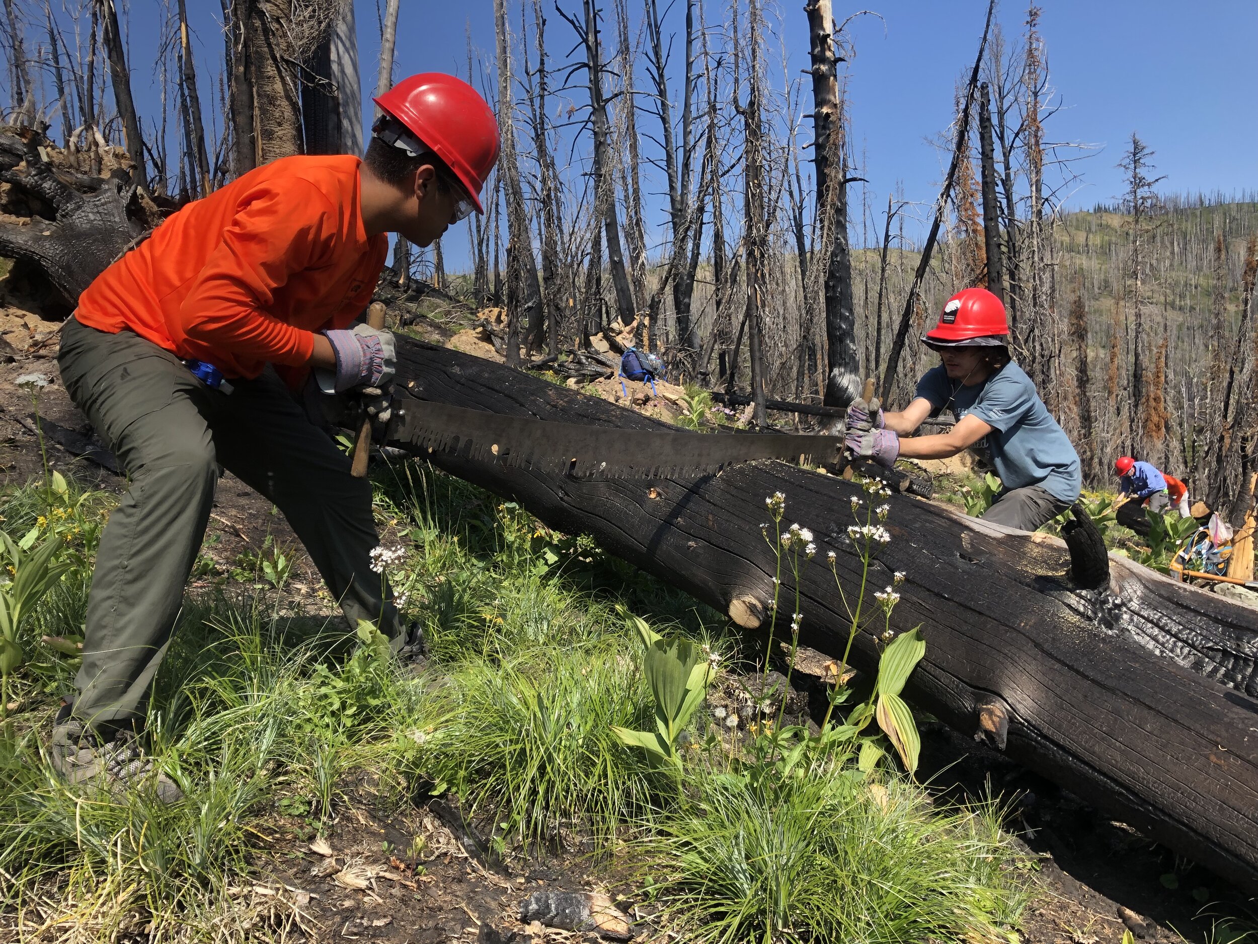 Bob Marshall Wilderness Foundation