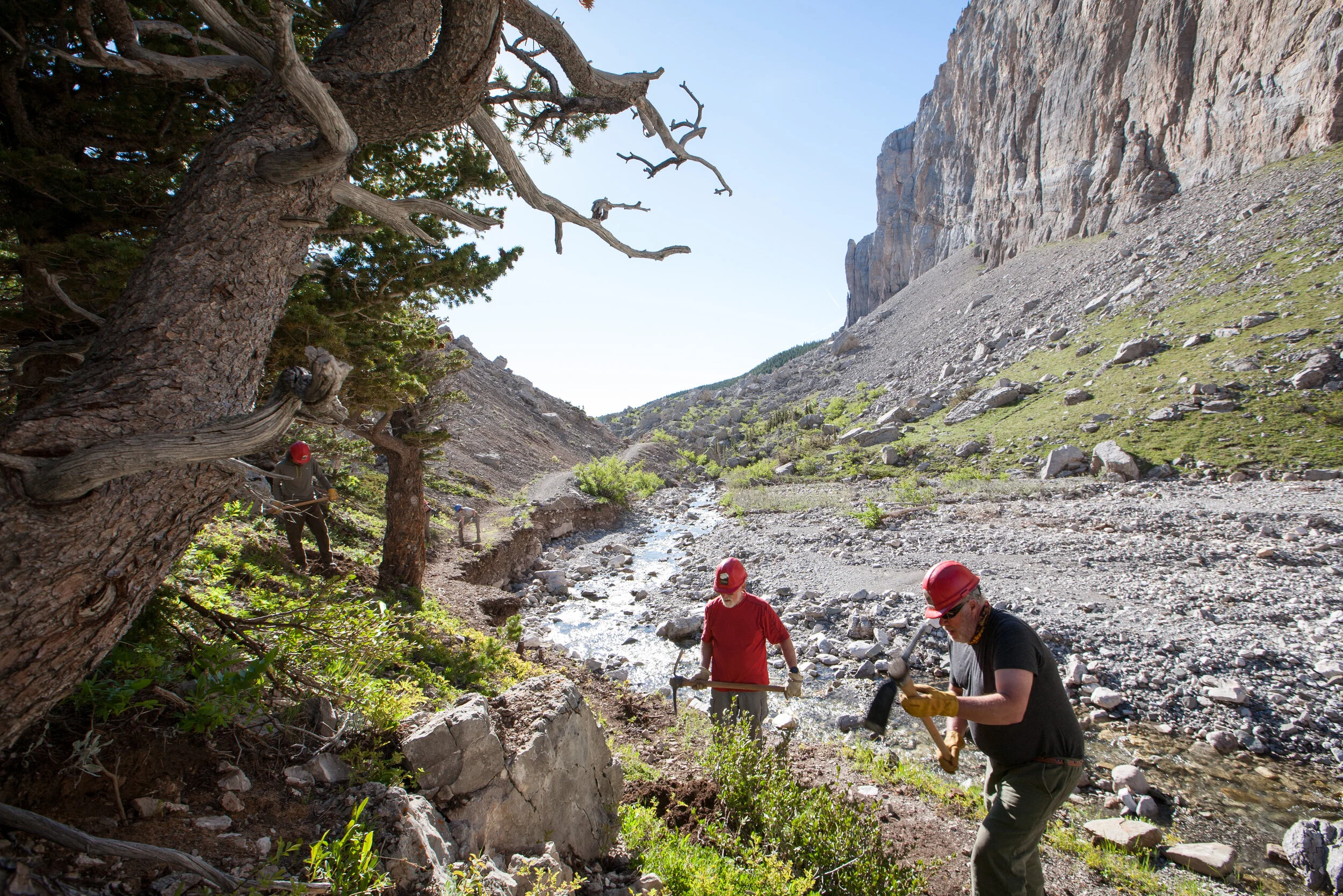 Bob Marshall Wilderness Foundation