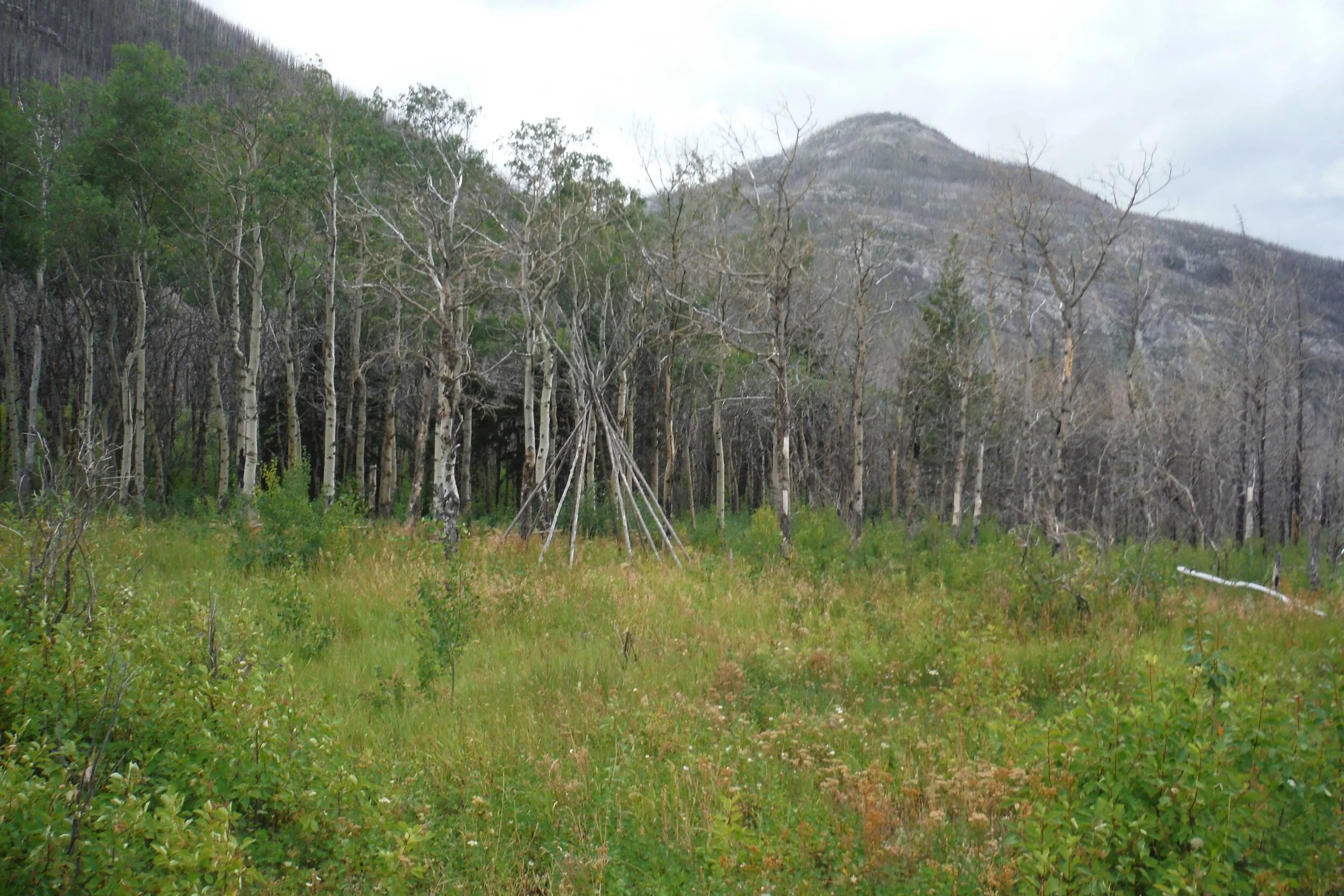 Indigenous Lands — Bob Marshall Wilderness Foundation