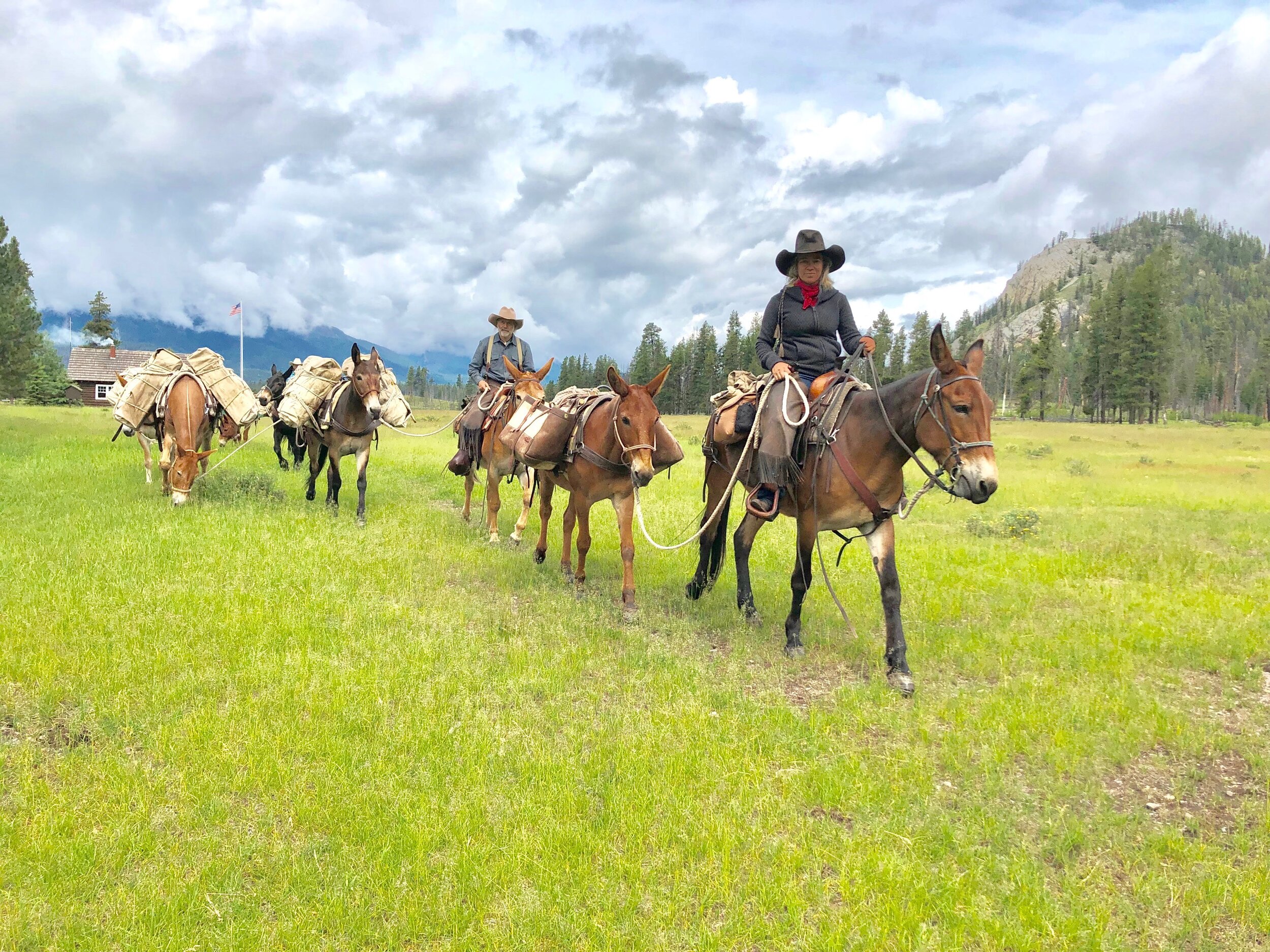 Horse And Mule Packing Employment
