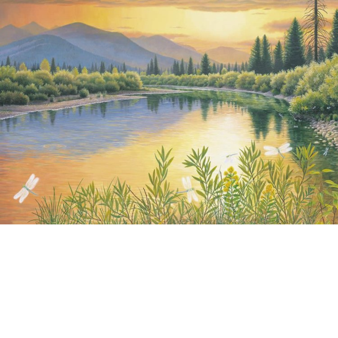 Monte Dolack 'Evening in The Bob Marshall' print — Bob Marshall ...