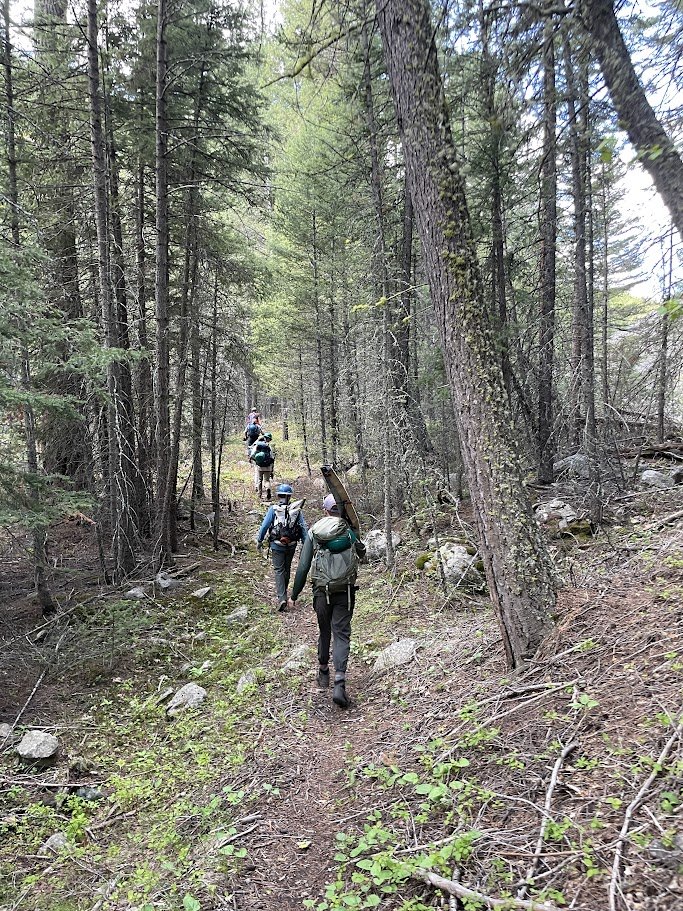 2025 BMWF #04: Goat Creek #249 — Bob Marshall Wilderness Foundation