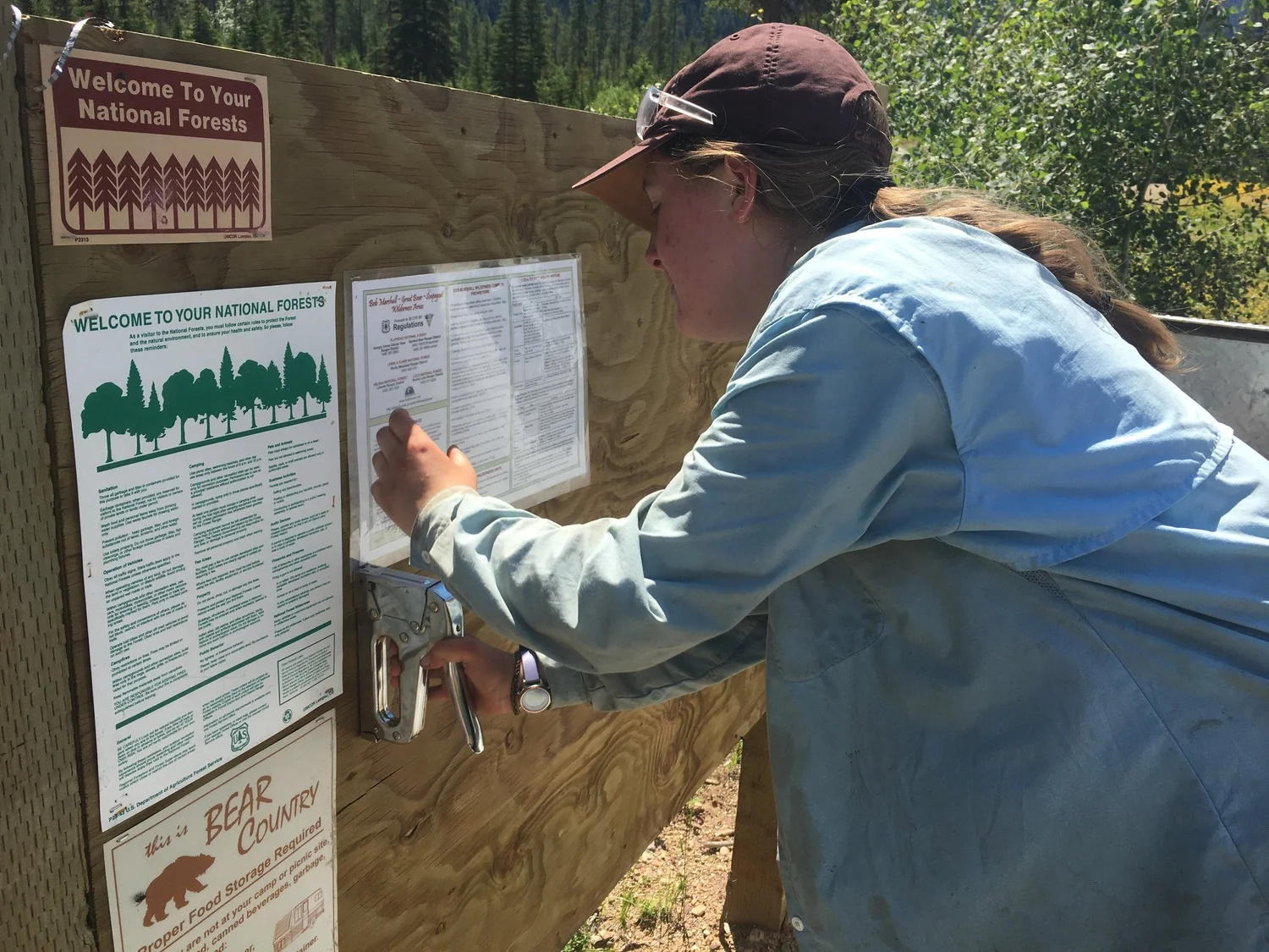 Wilderness Internships — Bob Marshall Wilderness Foundation