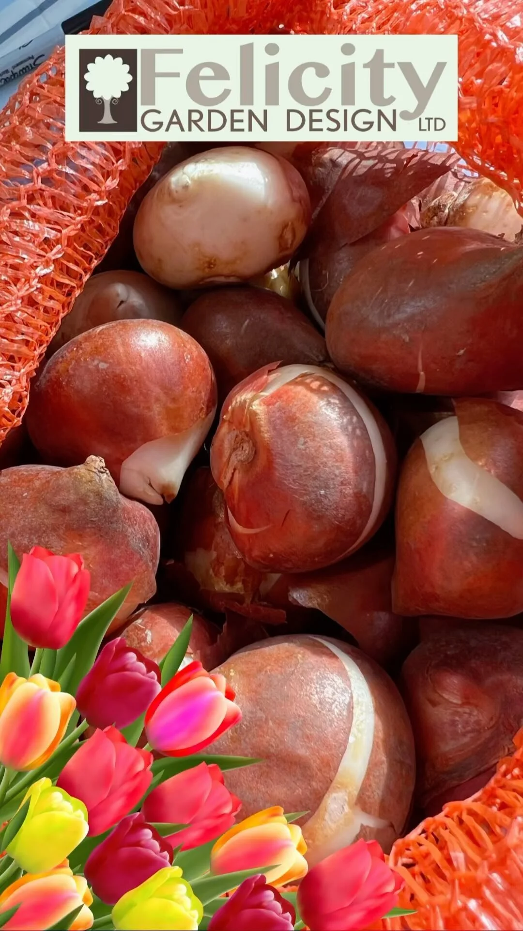 Felicity Garden Design — Felicity Garden Design