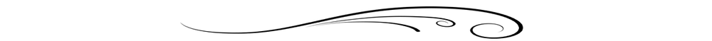 RENEE RIVERA COUTURE HAIR ACCESSORIES Home