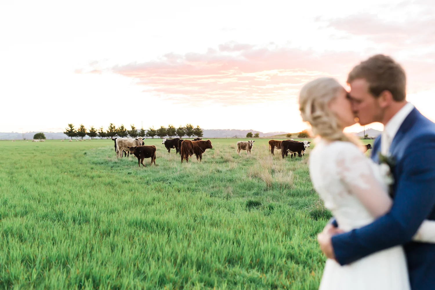 LAURA & JAY | GLEN INNES WEDDING — Newcastle & Hunter Valley Wedding ...