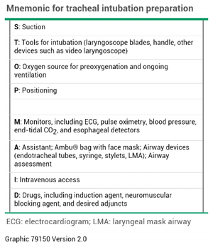 Airway — Pulmcast | ICU APP Fellowship | Critical Care Training
