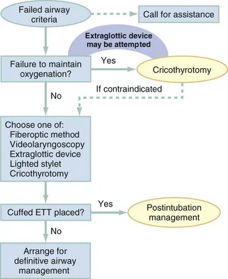 Airway — Pulmcast | ICU APP Fellowship | Critical Care Training