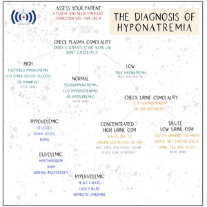 Hyponatremia: Diagnosis and Management in Critical Care — Pulmcast ...