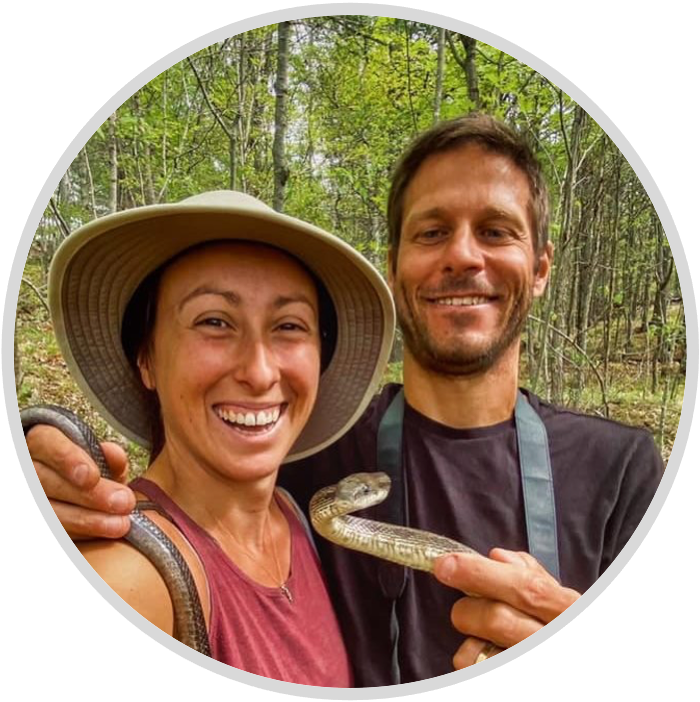 association des entomologistes amateurs du Québec - Association des ...