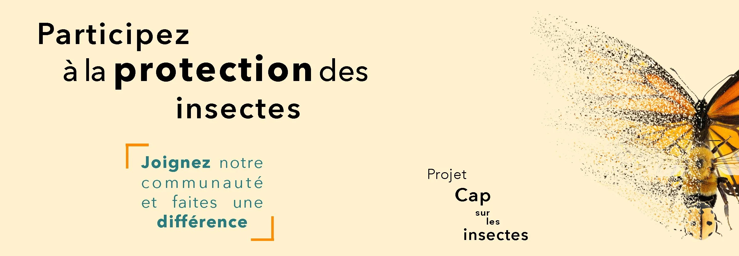 Insectes Québec - Association des Entomologistes Amateurs du Québec