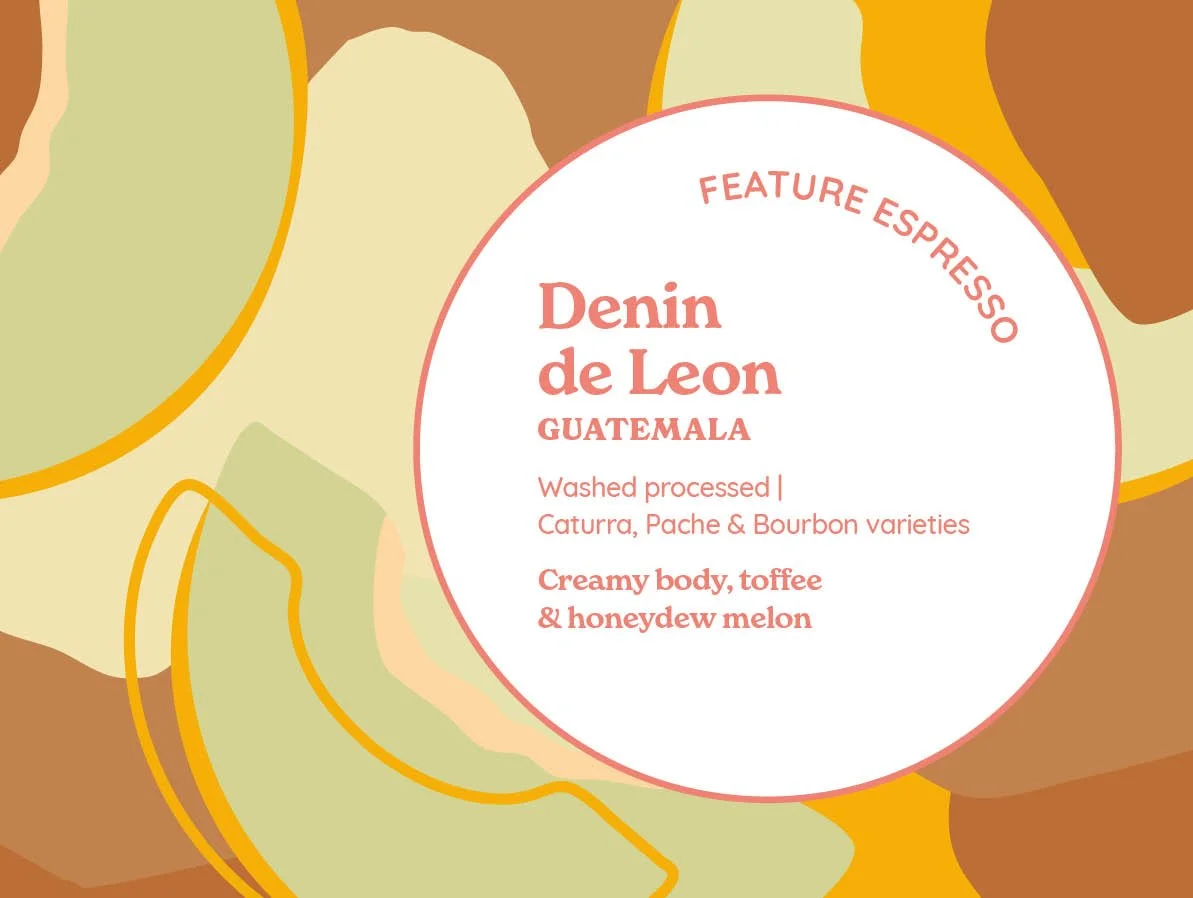 Curve Coffee Roasters - Delicious coffee. Positive impact.