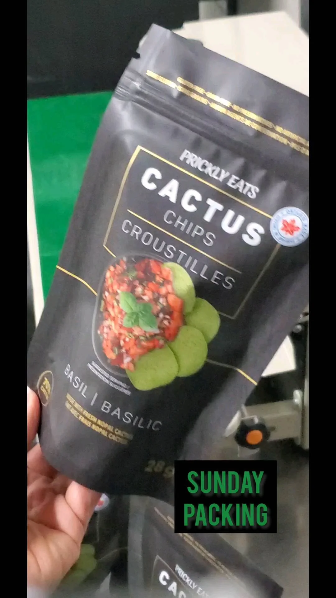 Chips and pitas made with fresh cactus.