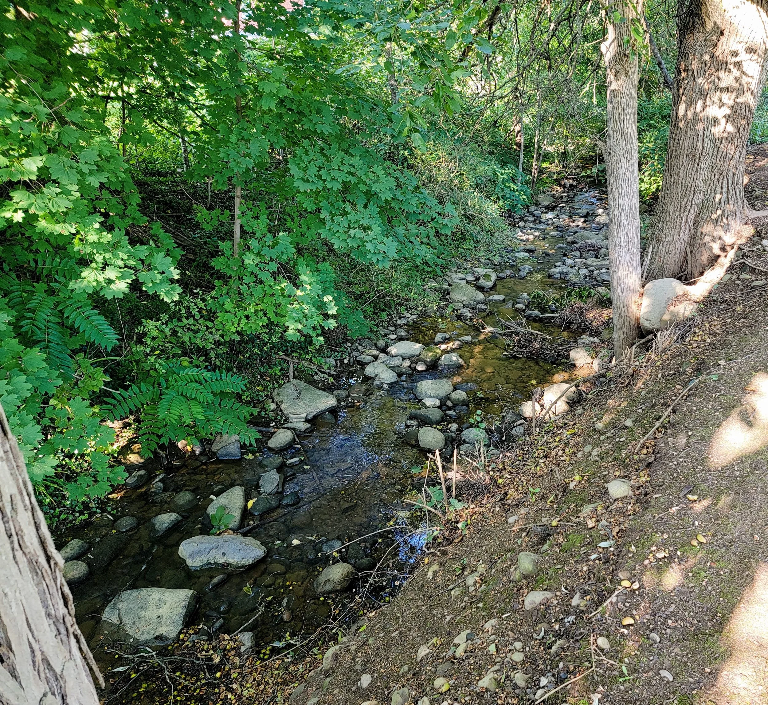 Sulphur Run Village — M.E. MANAGEMENT